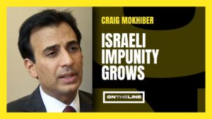 Human Rights Lawyer - Craig Mokhiber