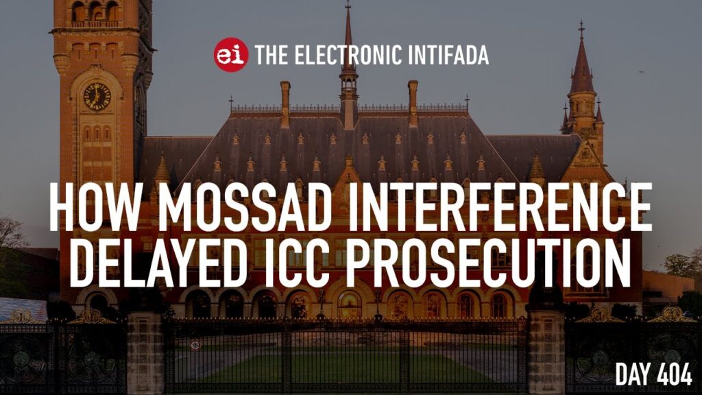 Human Rights Lawyer - Craig Mokhiber