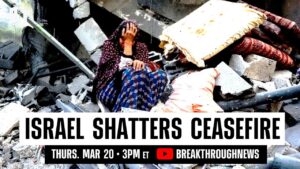 Human Rights Lawyer - Craig Mokhiber