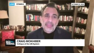 Human Rights Lawyer - Craig Mokhiber